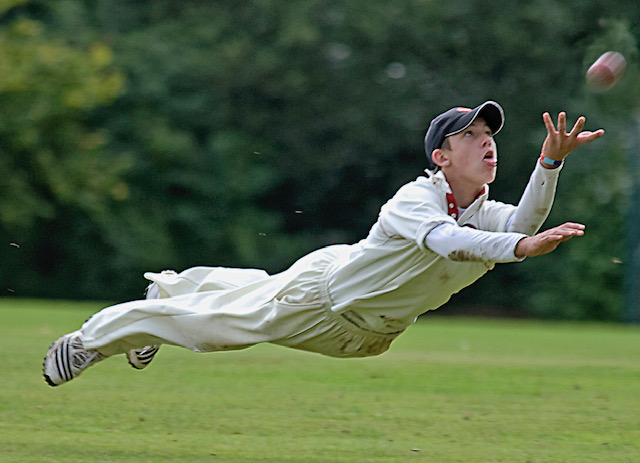 Somerset Cricket Museum – Photo Album – Fielding – Somerset Cricket Museum